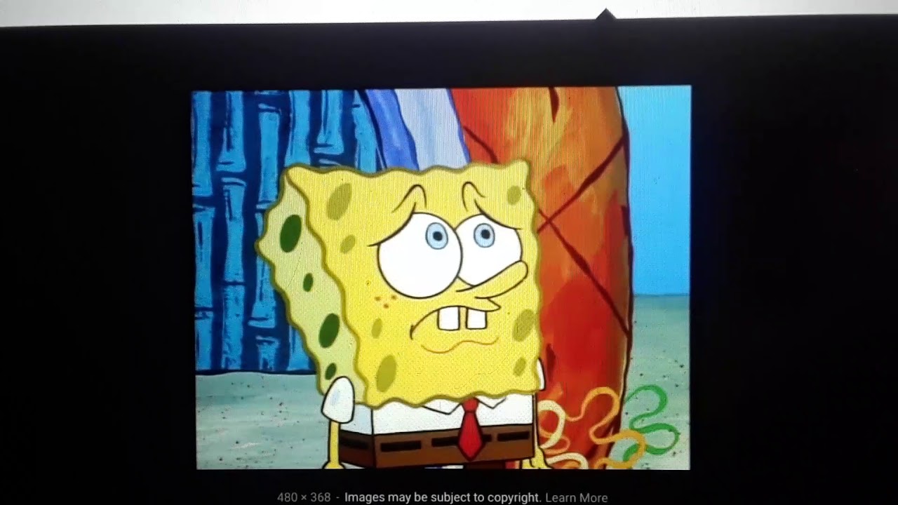 Fluttershy (Gloria) holds SpongeBob SquarePants (Mort) - YouTube