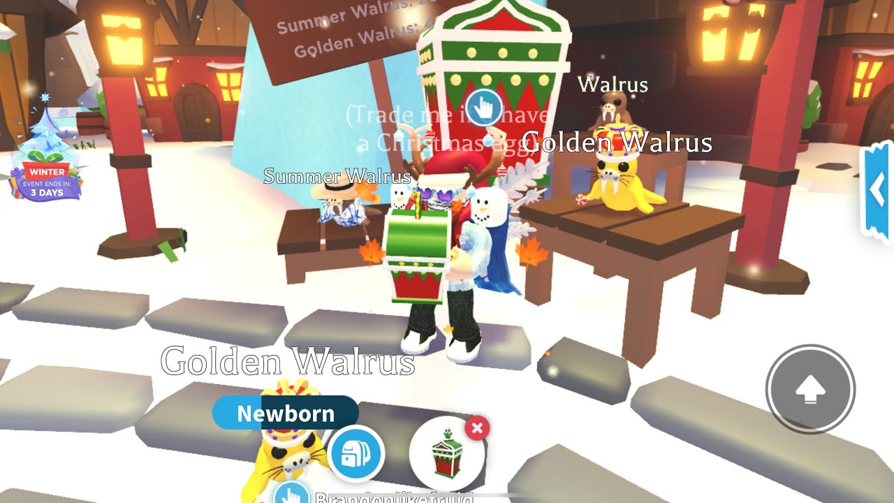 How to get golden walrus in adopt me (hatching 10 walrus box) - YouTube