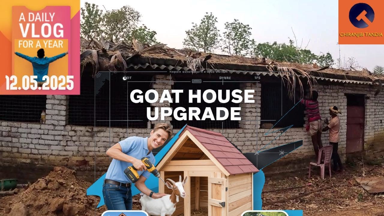Is DIY Goat House Renovation REALLY Worth the Time and Effort? - YouTube