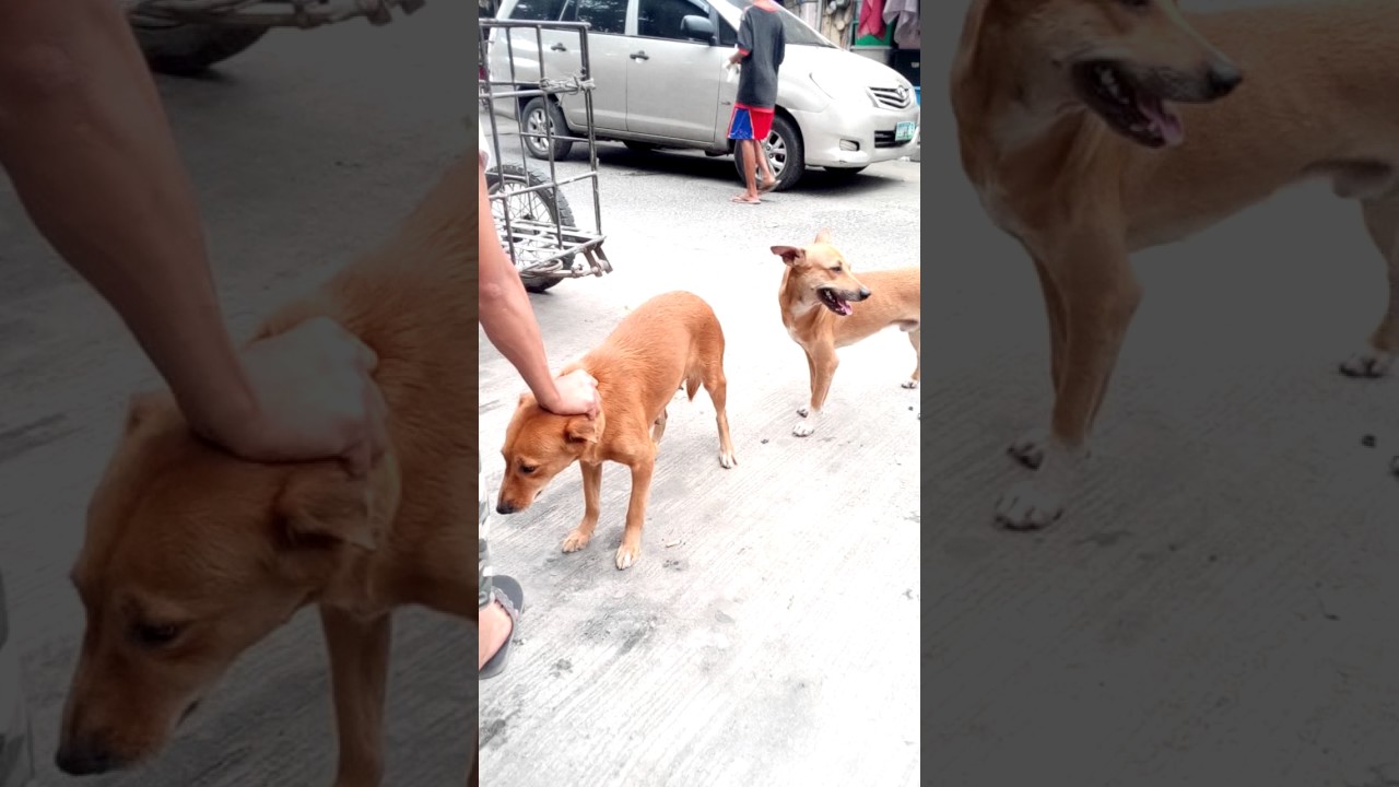 Rapbeh part 3 - YouTube