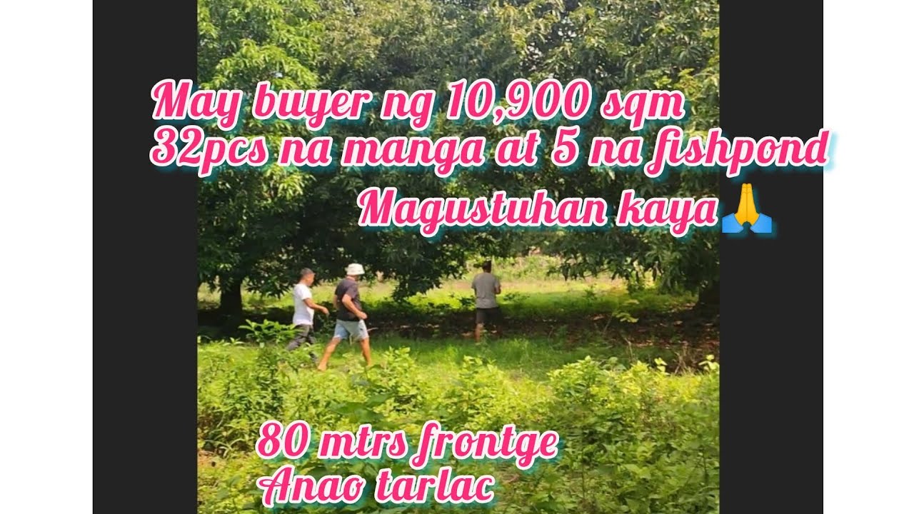 May buyer kami dto sa anao tarlac Residential with mango farm 5 holes ...