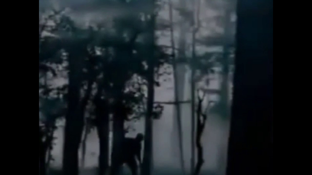 Logan post credit scene - YouTube