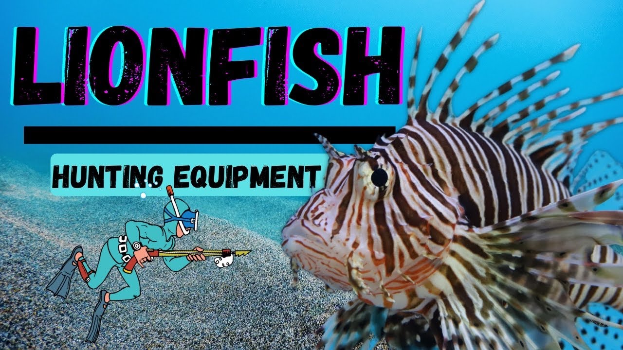 Hunting Lionfish 101 | Equipment - YouTube