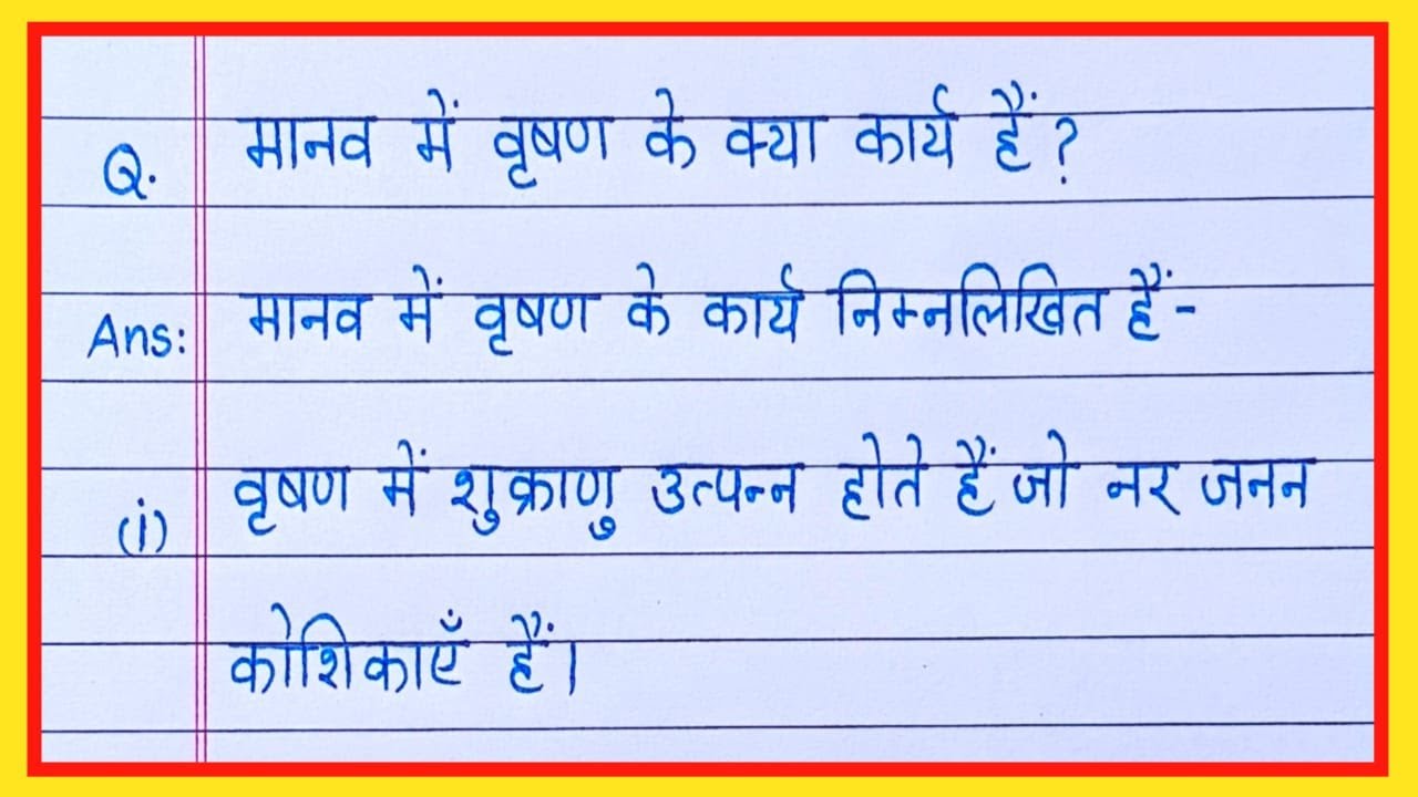 मानव में वृषण के क्या कार्य हैं/manav mein vrishan ke kya karya hai ...