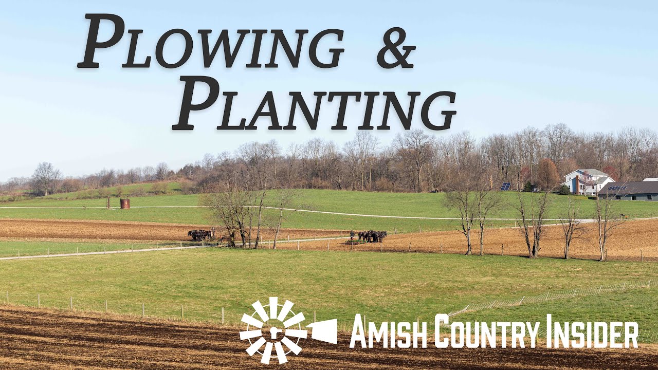 Plowing and Planting in Ohio's Amish Country - YouTube