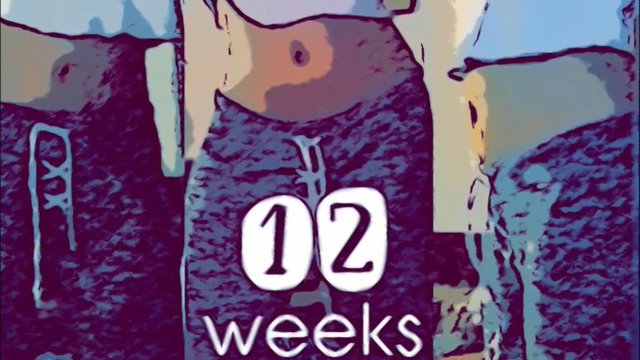 Week 12 pregnancy’s Bump I 1st Trimester Belly Transformation - YouTube
