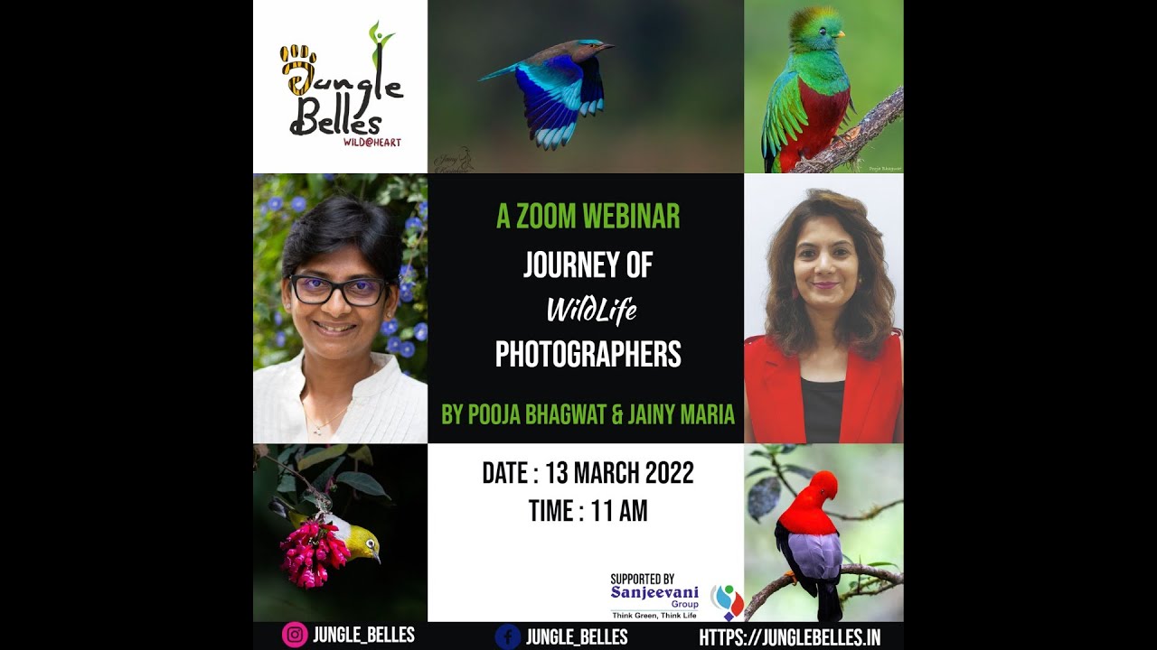 Chat with wildlife photographers Pooja Bhagwat and Jainy Maria | Jungle ...