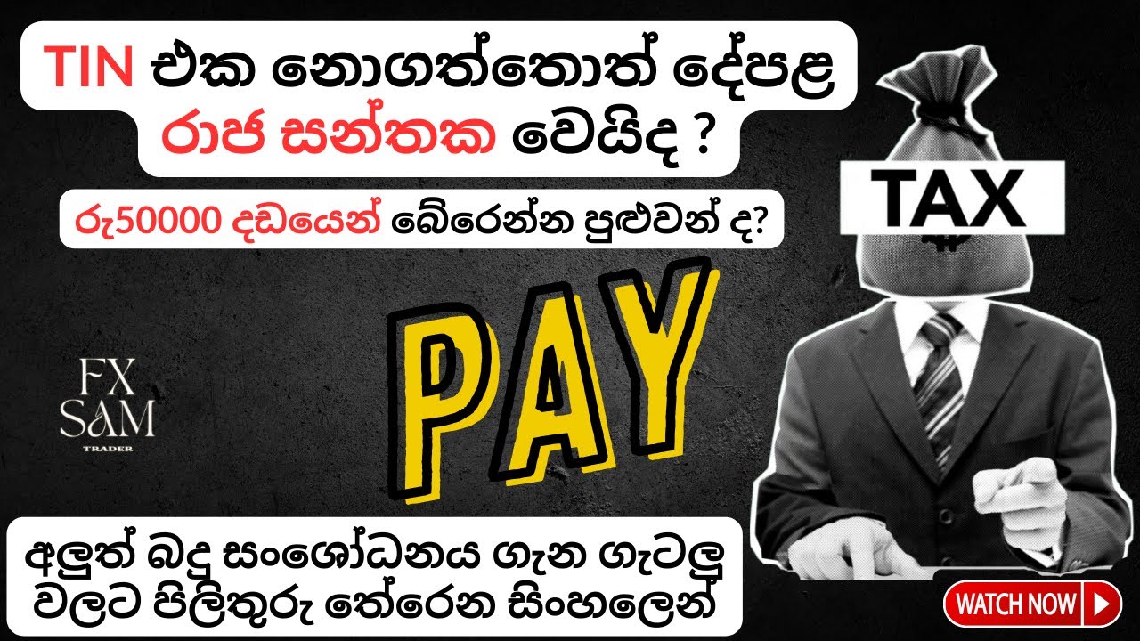 හැමෝම TIN එක ගන්න ඕනෙද ? Taxpayer Identification Number (TIN) / FX SAM ...