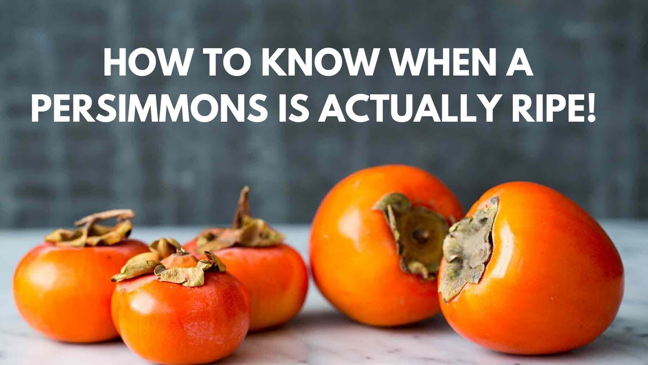 How To Eat Persimmons The Right Way! - YouTube