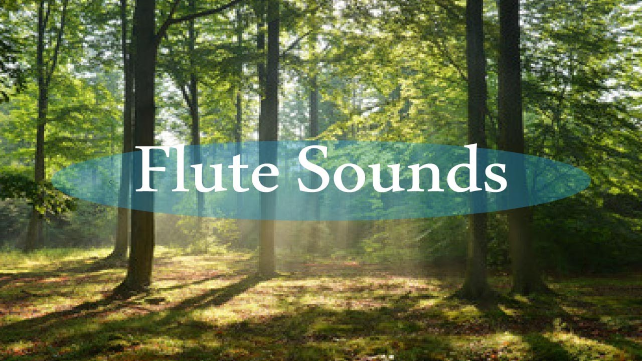 Feeling stressed out all the time, get relief from anxiety, including ...