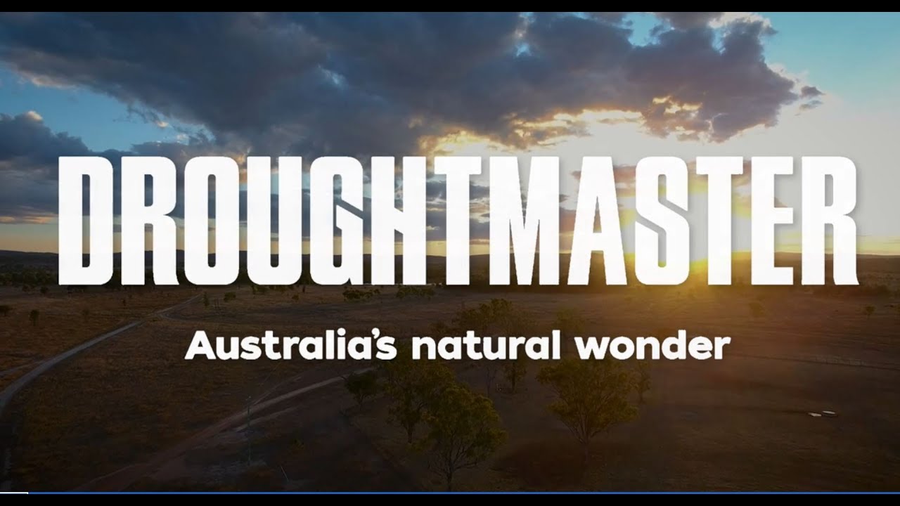 Our Story - Droughtmaster Australia's Natural Wonder - YouTube