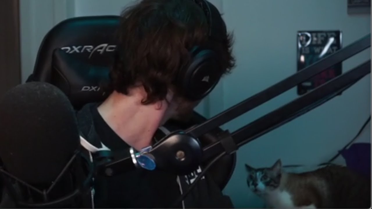 Calango assustando o gato ao vivo - YouTube