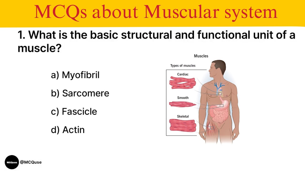 Physiology+Anatomy || muscular system || important MCQs || practice set ...