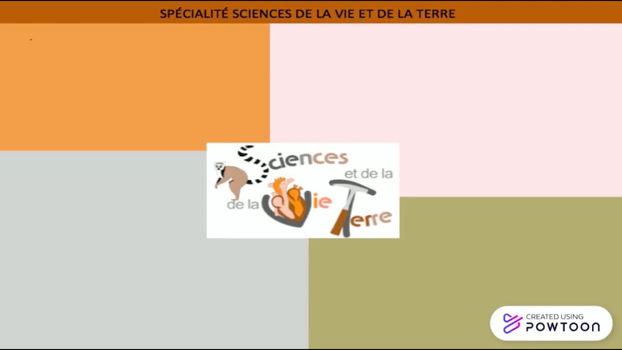 presentation spe svt - YouTube
