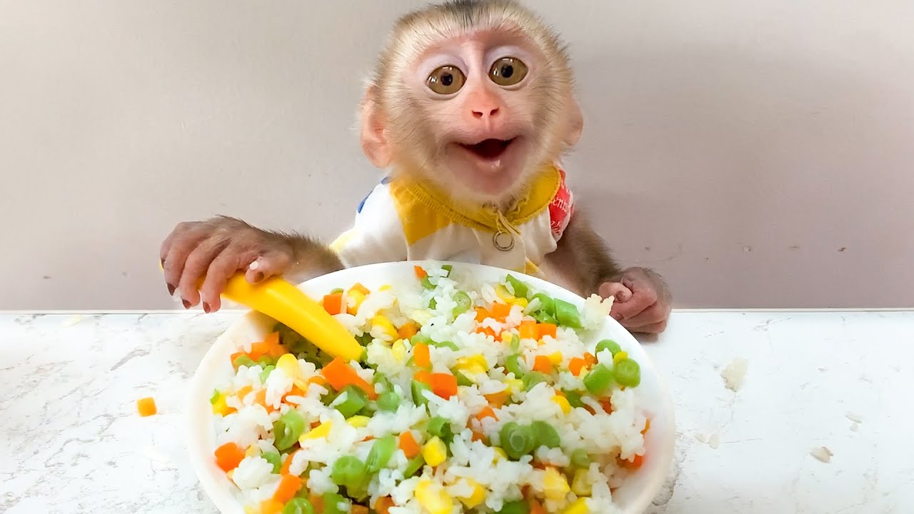 Monkey Puka is Surprised with the Colorful Rice dish made by Mom - YouTube