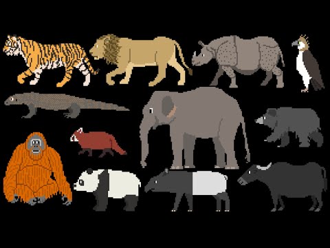 Asian Animals - @TheKidsPictureShow 