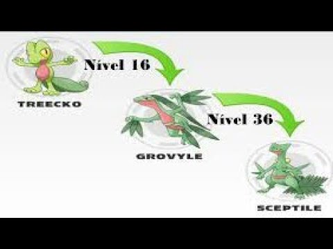 as evolução de treecko - YouTube