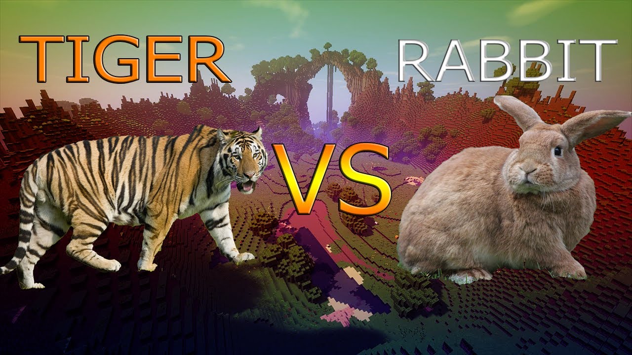 💢TIGER VS RABBIT💢Обзор донатов на REALLYWORLD💢LegendsGrief💢 - YouTube