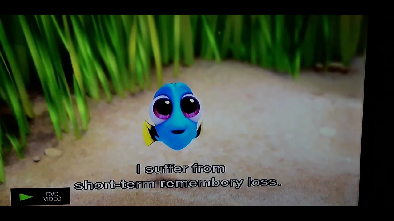 Young Dory - I suffer from short-term remembory loss. - YouTube