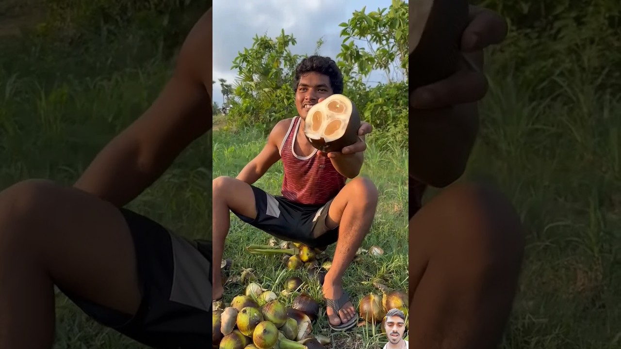 #tar #fruit #fruitharvest #fruitcutting #cuttingfriuts #funny # ...
