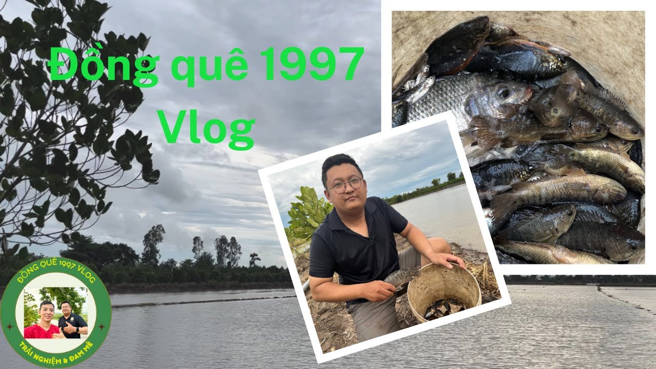 Đổ DỚN ở miền Tây sau cơn mưa lớn và kết quả bất ngờ | Đồng quê 1997 ...