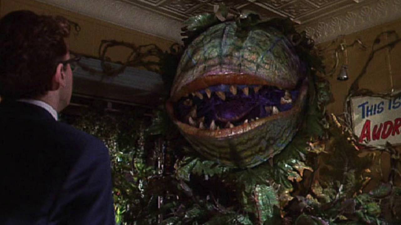 Little Shop of Horrors -- Mean Green Mother From Outer Space cover ...