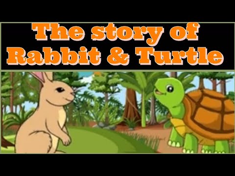 The Swift Rabbit and Steadfast Turtle A Race of Wonders Kids ...