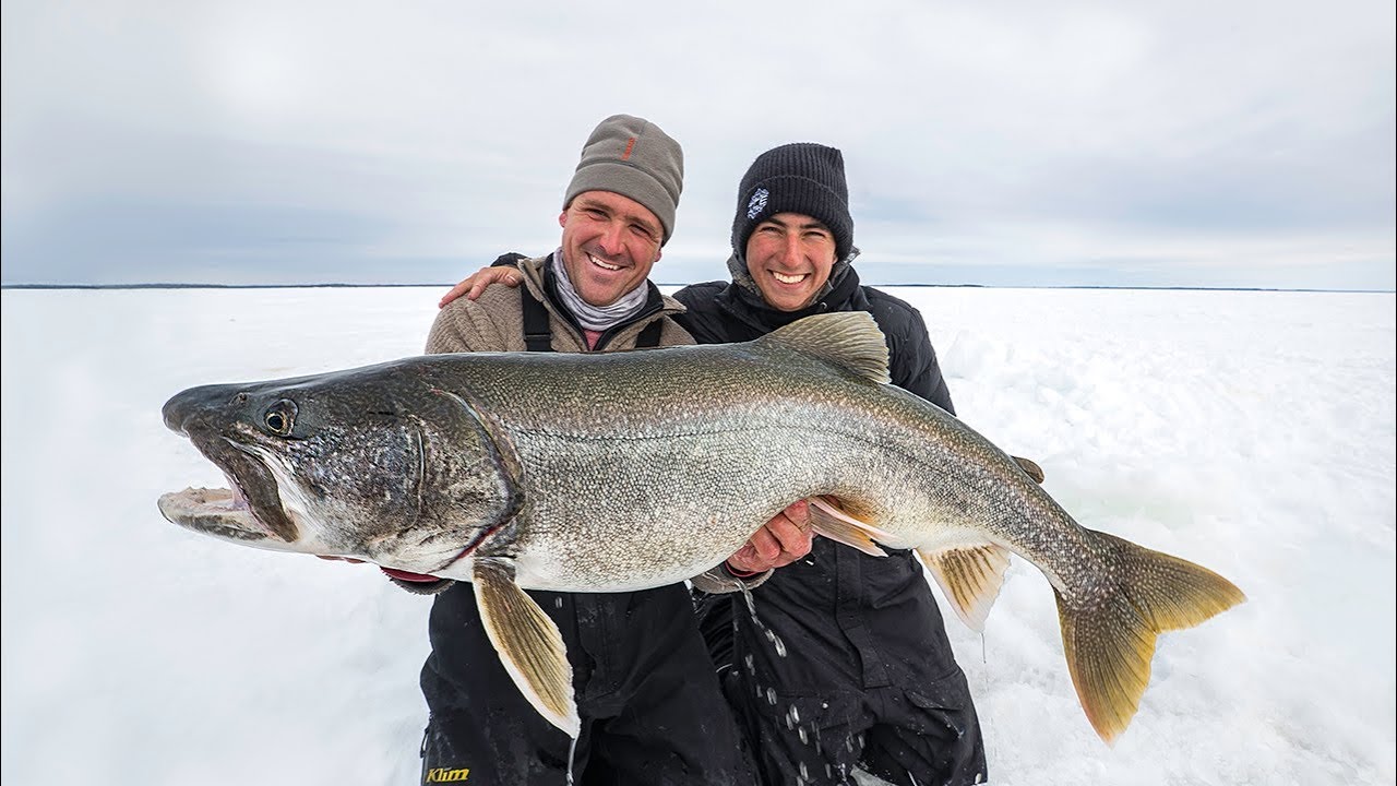 Huge Lake Trout! - YouTube