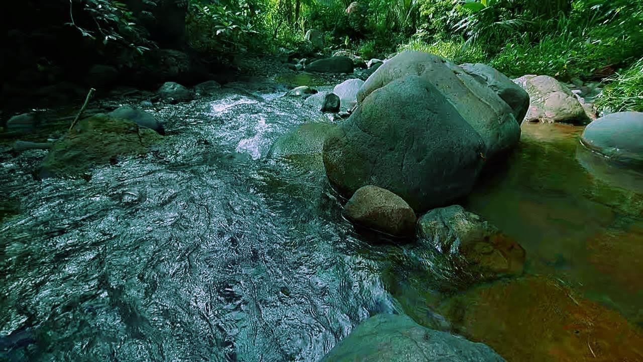 Gentle River Ambiance: Clarity, Emotional Support, Peaceful River Flow ...