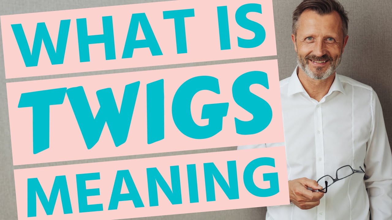 Twigs | Definition of twigs 📖 📖 - YouTube