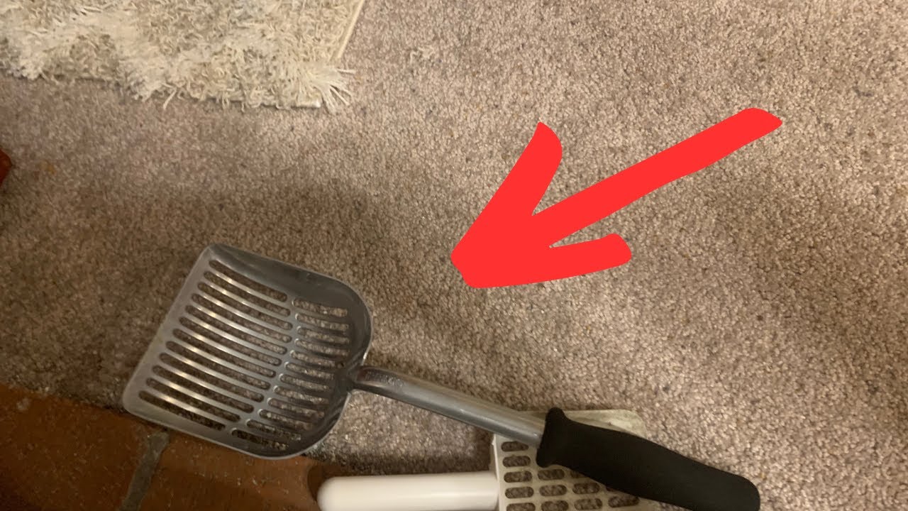 iPrimio Monster Cat Litter Scooper Makes Scooping So Much Faster. Worth ...