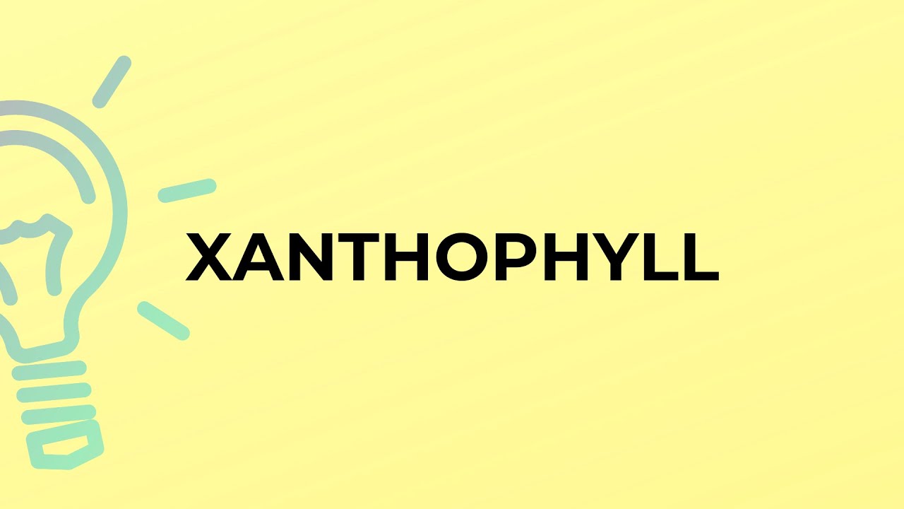 What is the meaning of the word XANTHOPHYLL? - YouTube