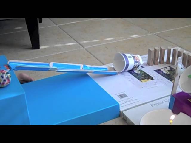 Step Rube Goldberg Project