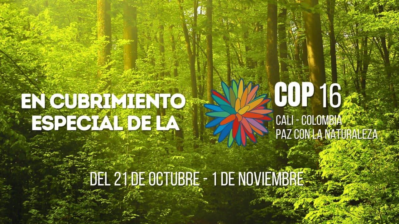 ESPECIAL DE LA COP 16 EN EMISORAS ABC CON CARLOS TONCEL Y JOSE RESTREPO ...