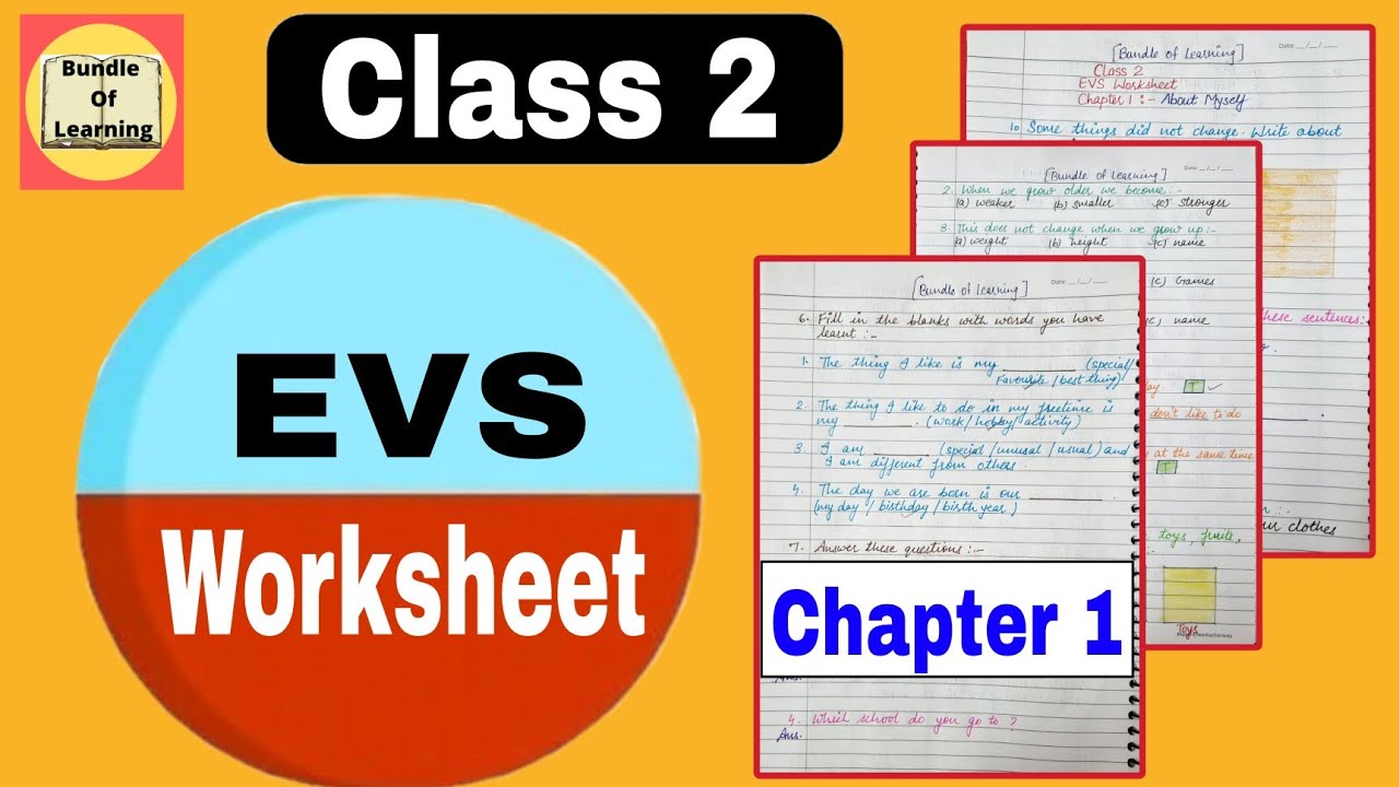 Class 2 EVS Worksheet | Chapter 1 | About Myself | Class 2 EVS Chapter ...