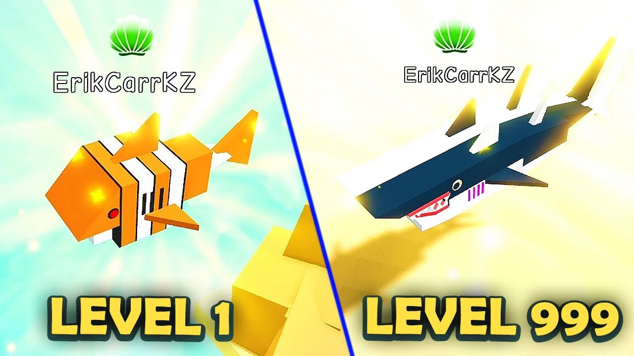 TUBARÃO LEVEL 1 X TUBARÃO LEVEL 999 - Roblox Shark Evolution - YouTube