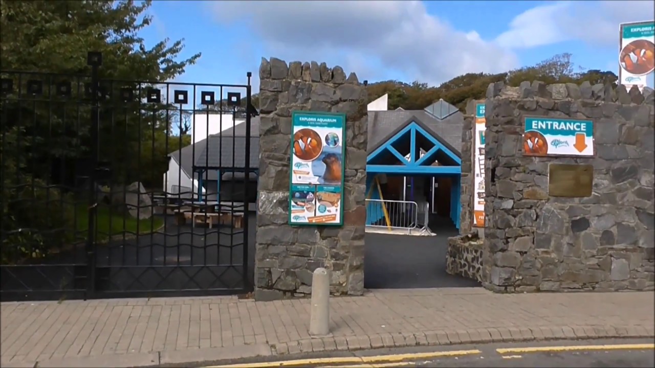 Exploris Aquarium Portaferry Full Tour Sept. 2017 - YouTube
