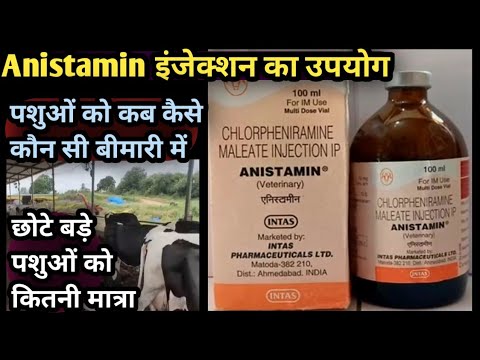 Anistamin injection 💉||intas||Chlorpheniramine Maleate injection ...