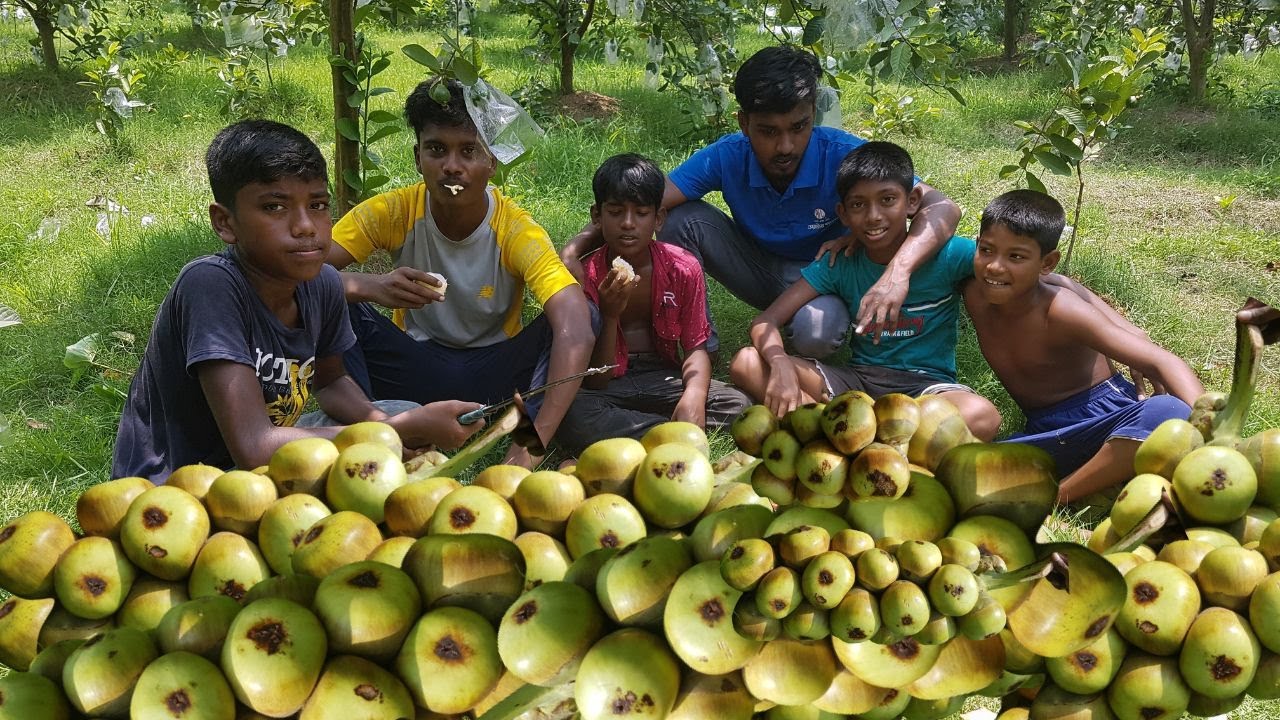 LRB Village Cooking Channel Scenes of eating delicious palm shells in a ...