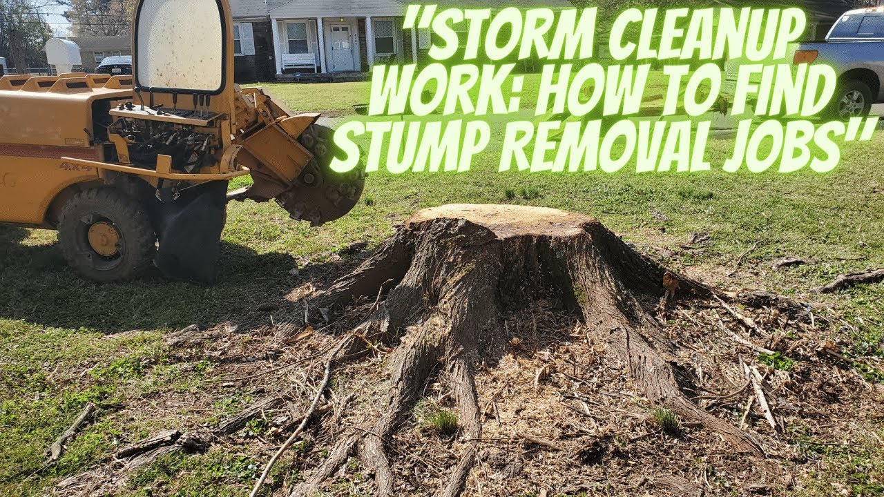 "Storm Cleanup Work: How to Find Stump Removal Jobs" - YouTube