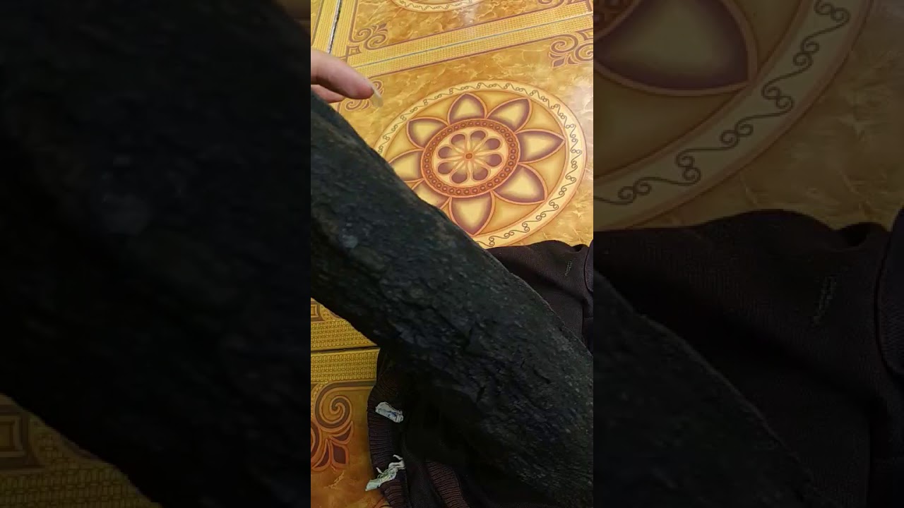 Posil kayu - YouTube