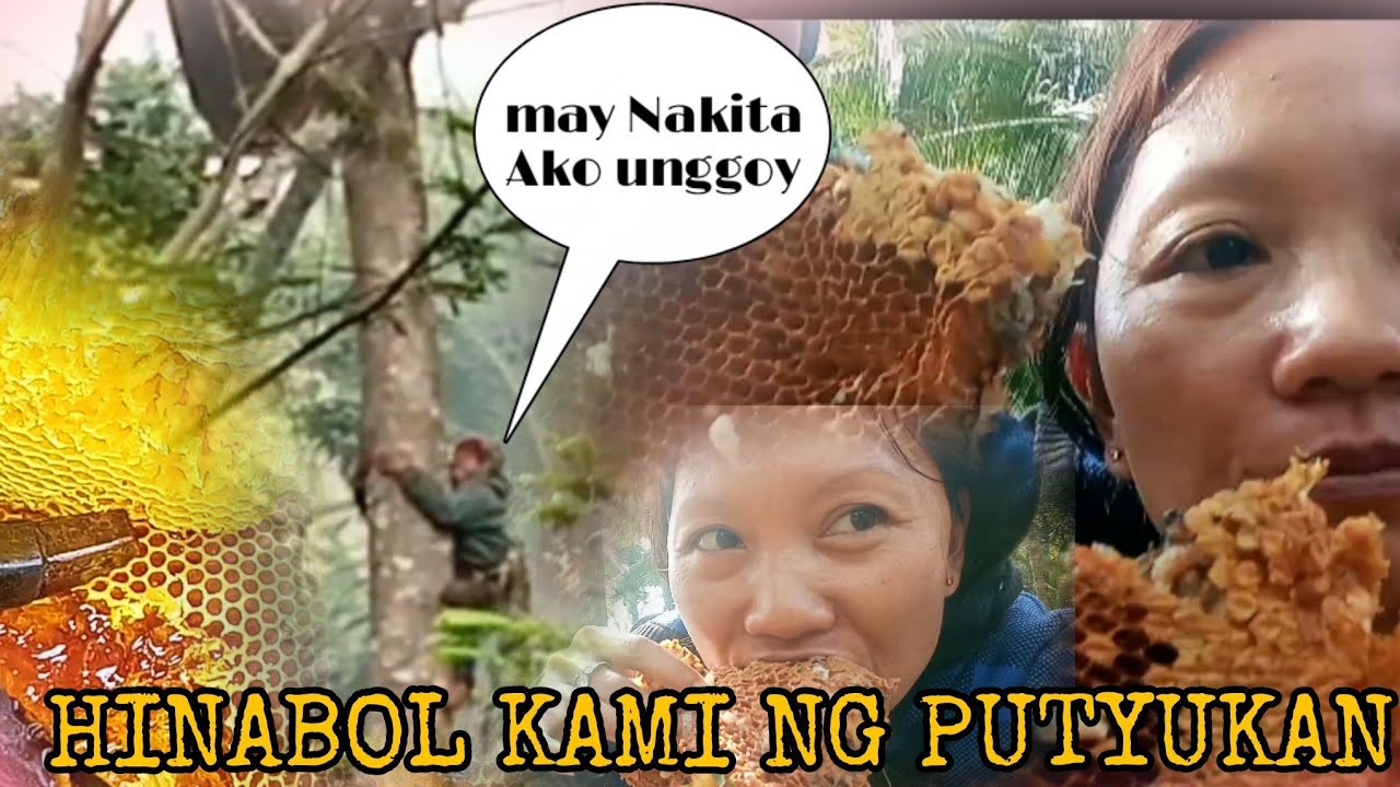 HINABOL NA KAMI NG PUTYUKAN ANG DAMING 🍯 DUGOS#lelen tv#maya miya#mercy ...