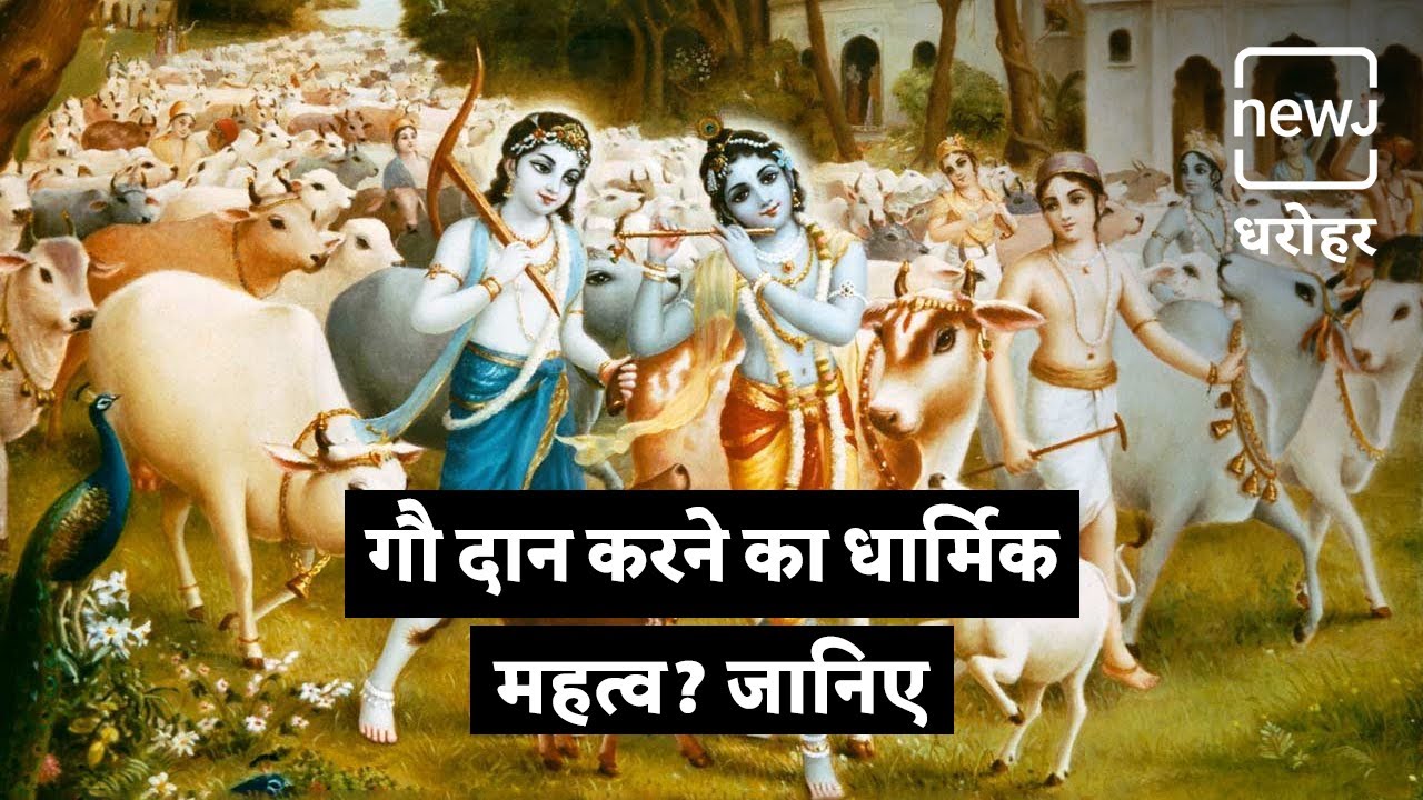 Religious Significance Of Gau Daan | गौ दान का धार्मिक महत्व | NEWJ ...