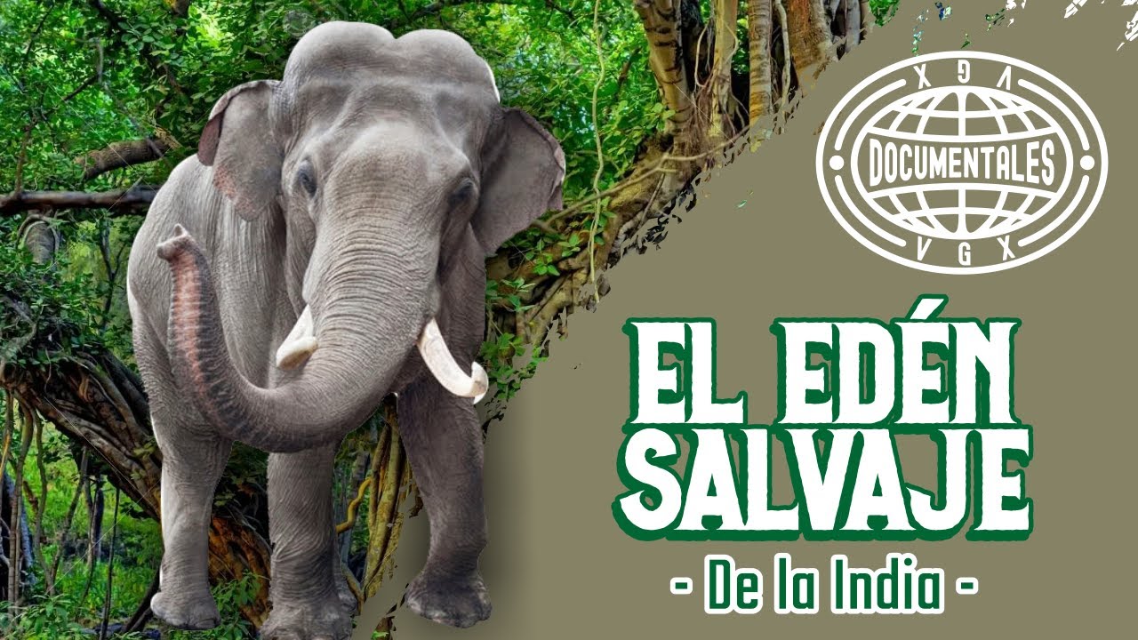 El Edén Salvaje de la India - Documental Español - YouTube