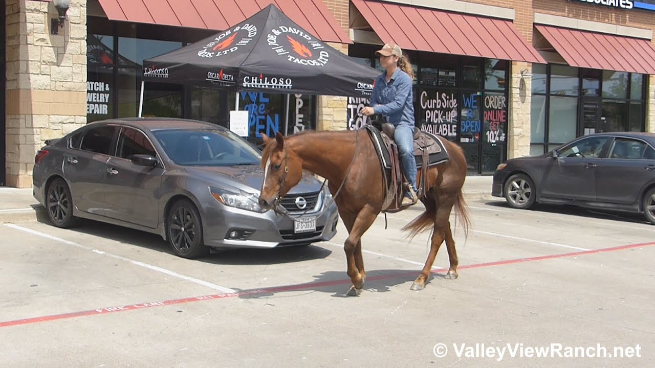 Chics Fancy Pine - riding in town! - ValleyViewRanch.net - YouTube