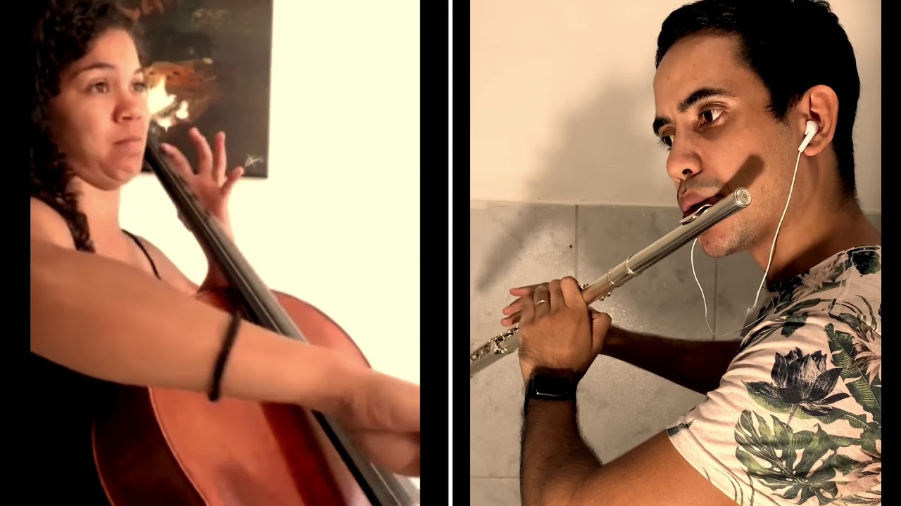 Assobio a Jato (The Jet Whistle)- Alegro non troppo- Villa-Lobos - YouTube