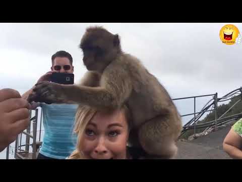 komik ve eğlenceli videolar (Gül Güldür 2020) #52