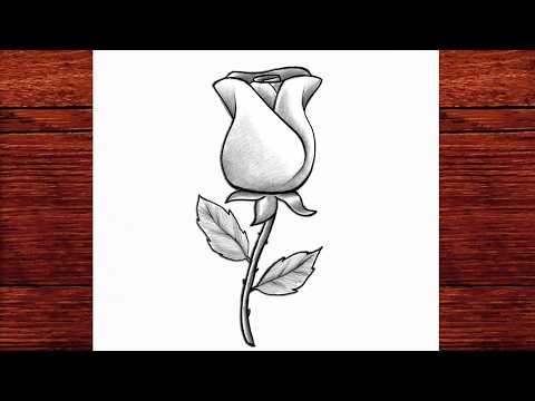 Easy Rose Pencil Drawing 🌹 How to Draw a Beautiful Rose for Beginners