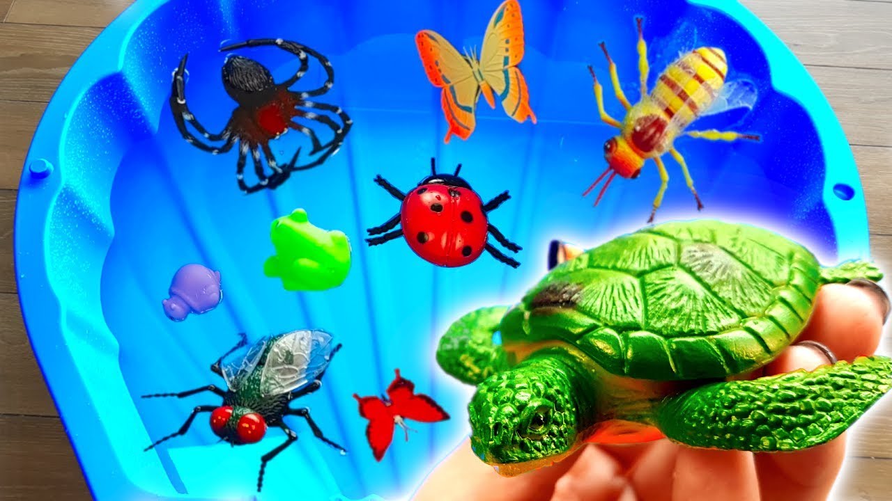 Learn Sea Animals with wild animals, zoo animals and farm animals video ...