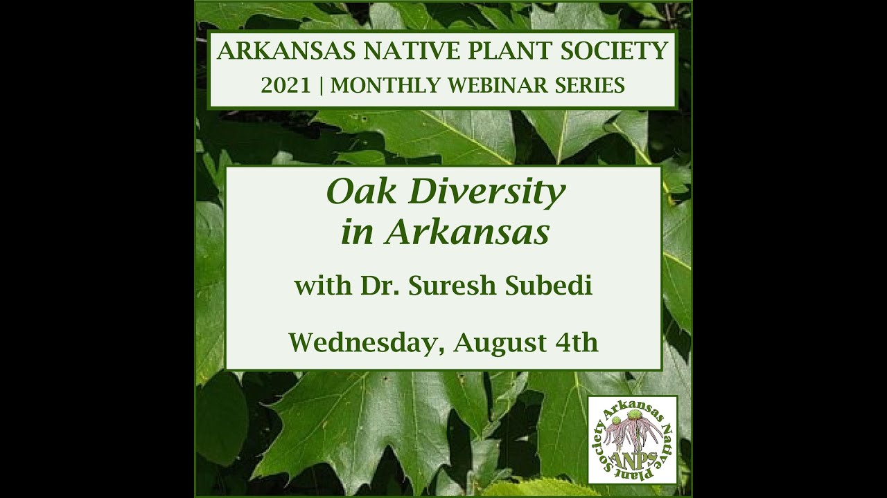 Oak Diversity in Arkansas with Dr. Suresh Subedi - YouTube